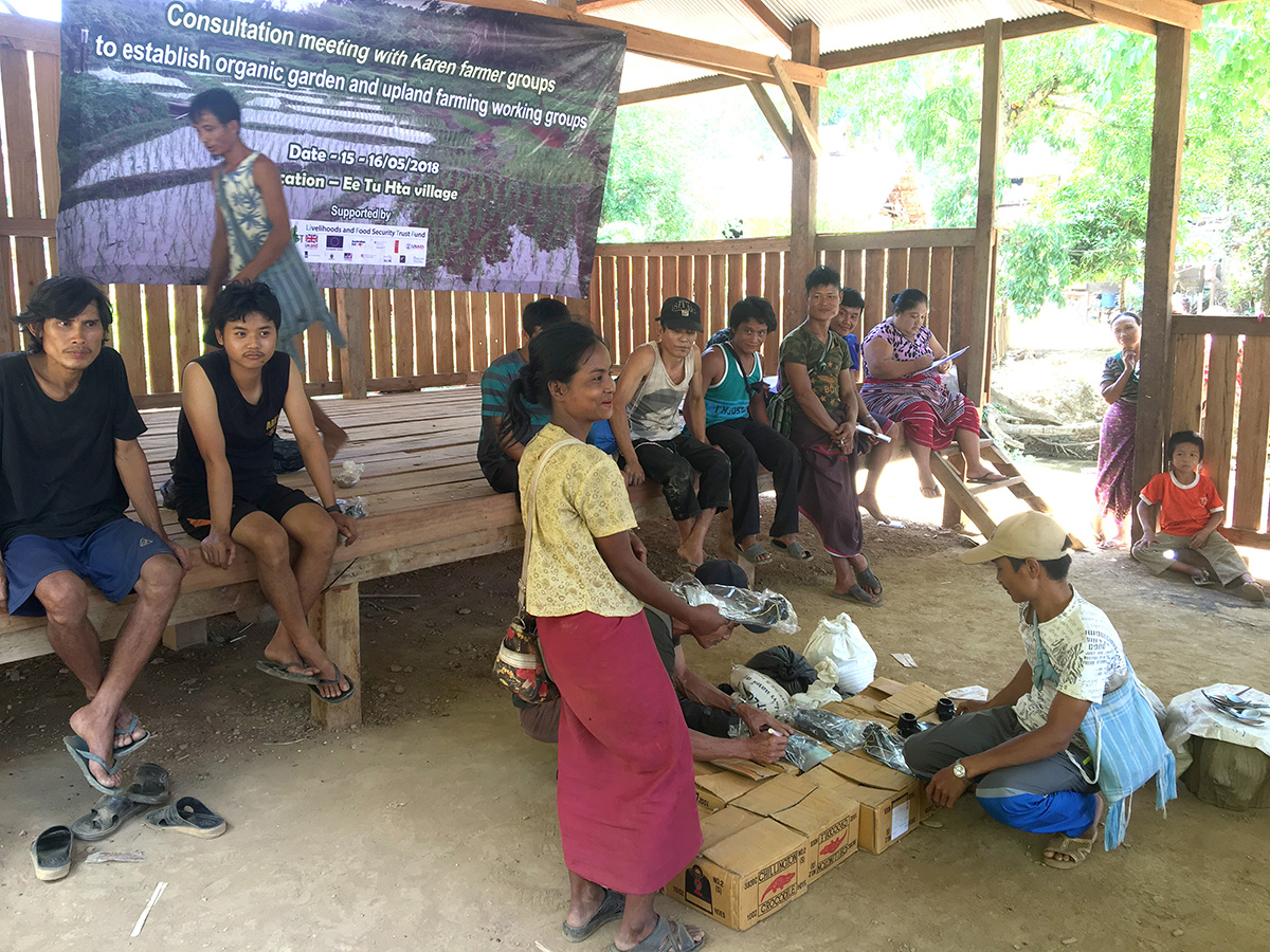 See how others do it! – Self-Strengthening Process